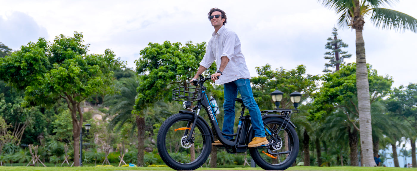 Ridstar Official Store - Shop Ridstar Electric Bikes