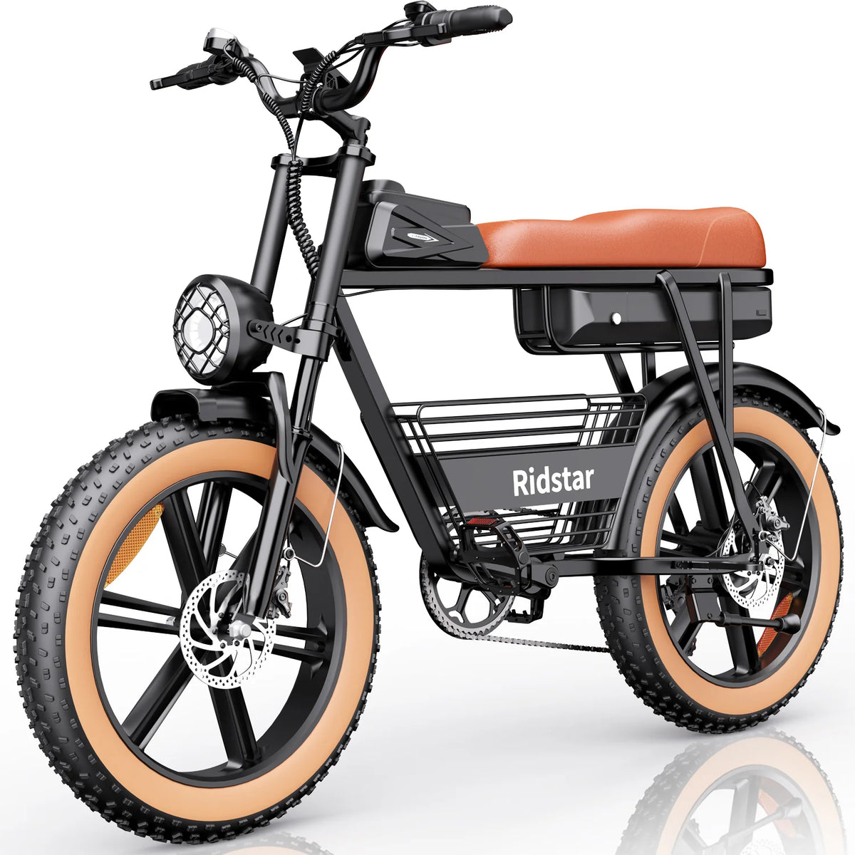 Electric Mountain Bikes - Ridstar