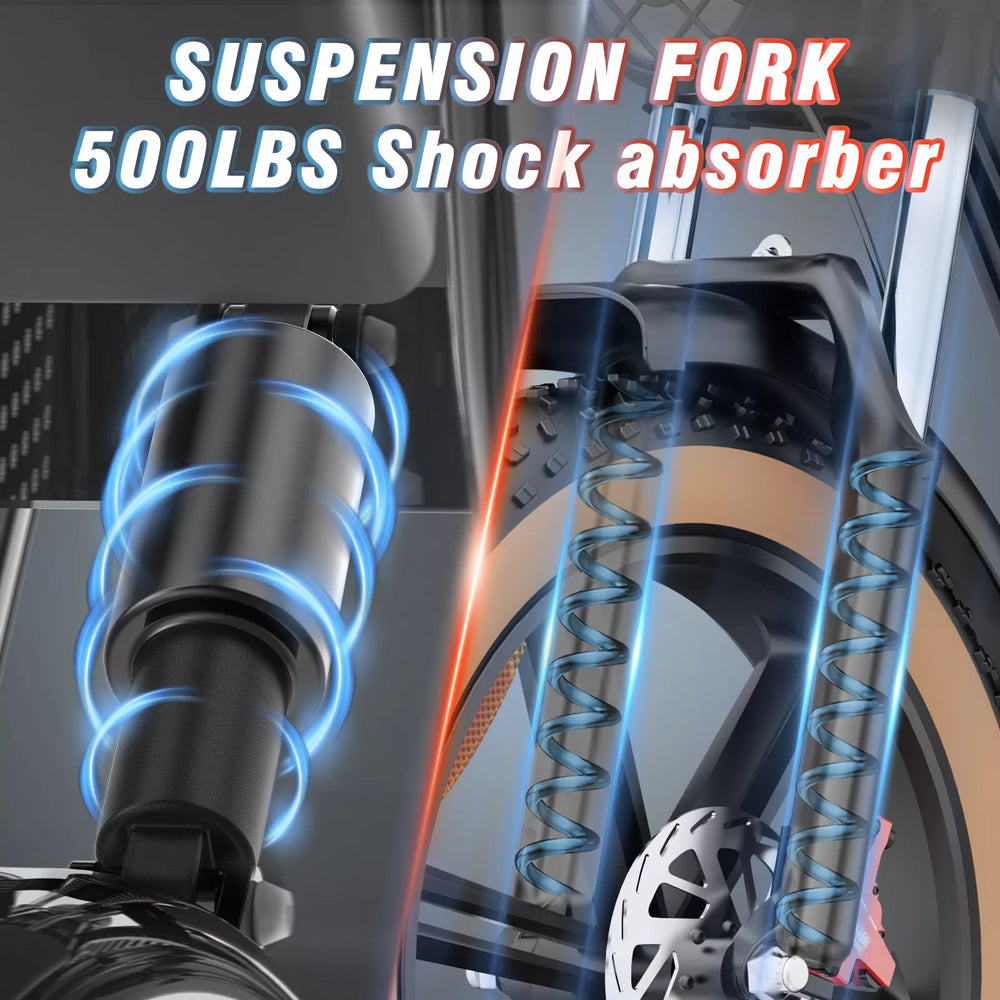 Ridstar Q20 1500W Fat Tire Electric Bike for Adults